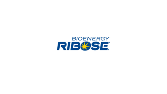 Bioenergy D-Ribose | MPA Supps